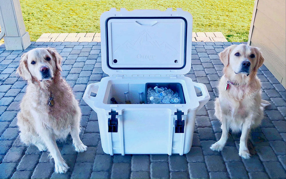 Collections - TikiTops®